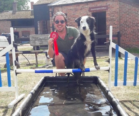 Tails wagging for Tatton Park fun dog show - So Counties