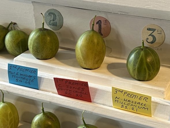 Goostrey Gooseberry Show 2022 - So Counties