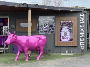 Six places in Cheshire for a farm-fresh milkshake - So Counties